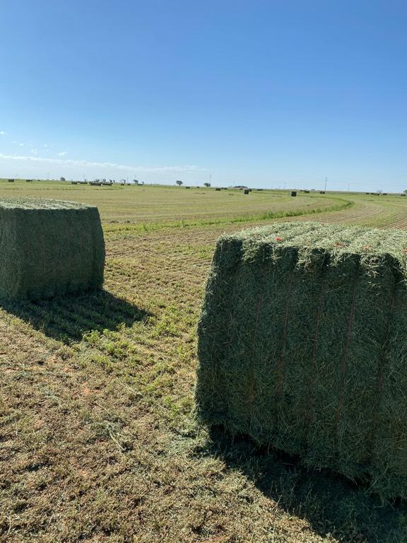 Square Hay Bale Dimensions